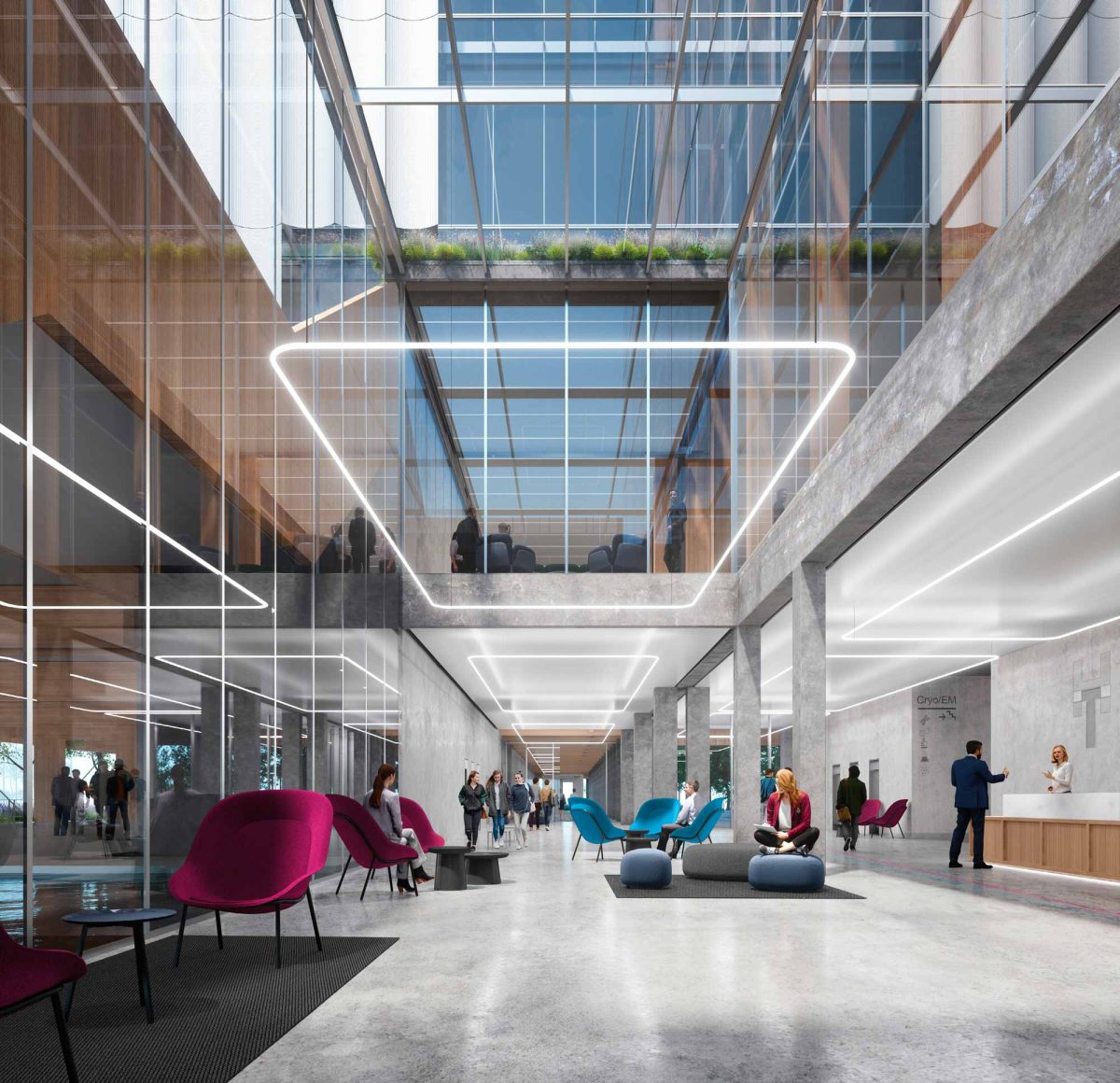 Human Technopole - Goldmann & Partners